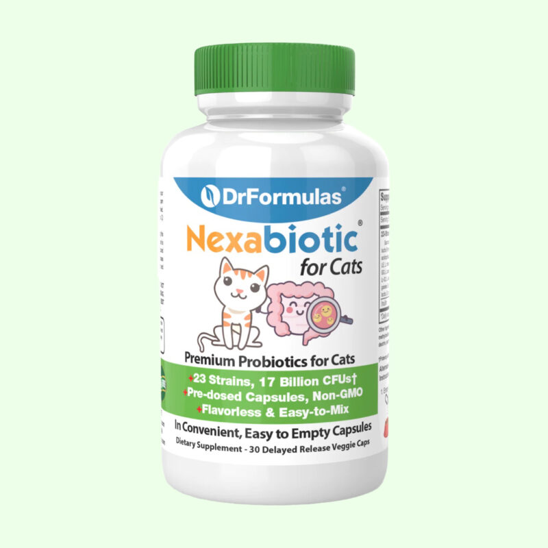 5 Best Cat Probiotics & Prebiotics | Cats With Jazz
